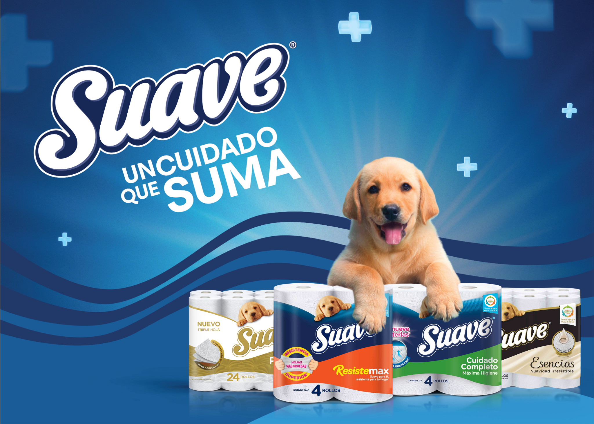Kantar: “Suave” dentro del top 5 marcas con mayores ganancias en ...