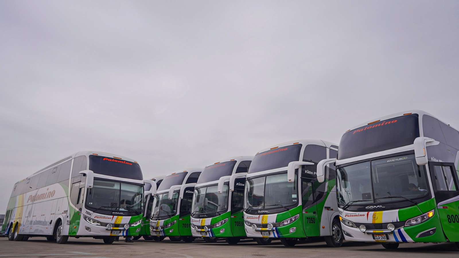 Divemotor refuerza el transporte interprovincial con la entrega de 17 ...
